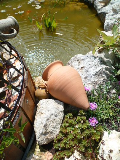 The State Of The Garden Today Grows On You