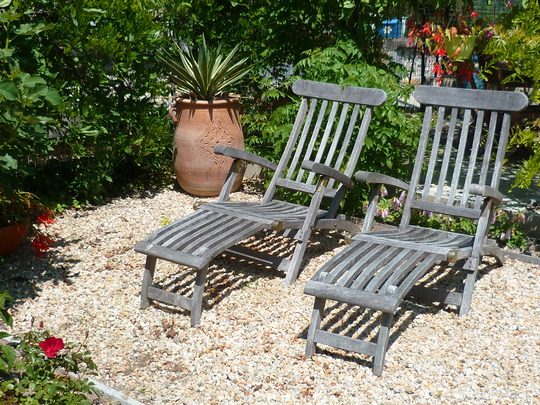 The State Of The Garden Today Grows On You